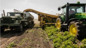 Essential Skills Every Agricultural Worker Should Possess – Entmt Media
